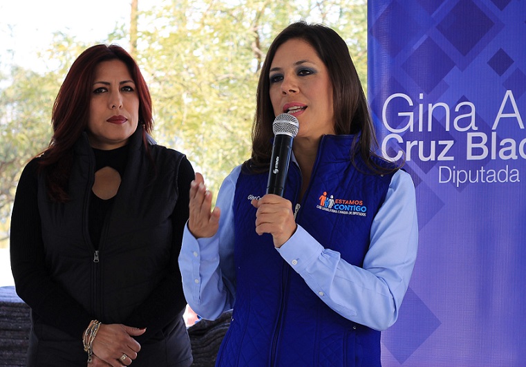 GINA CRUZ PREPARES MORE ACTIONS FOR 2018 – Beyond Borders Gazette